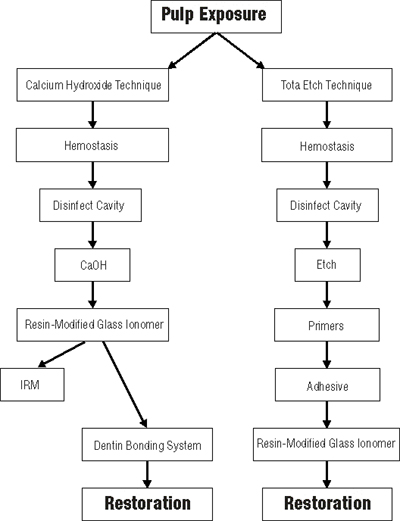 Vital Pulp Capping: A Worthwhile Procedure